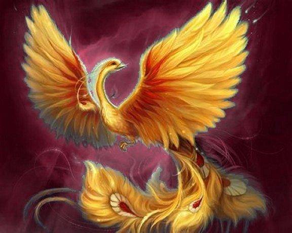 A história por trás da lendária Fênix - Banda B